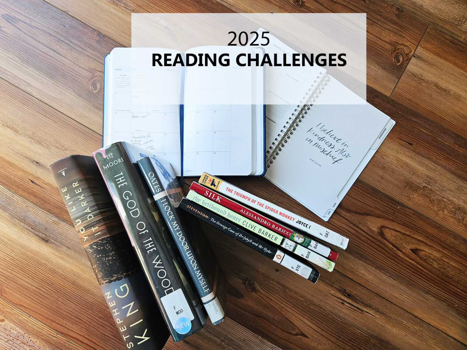 The Most Popular 2025 Reading Challenges on StoryGraph – Chapter Adventure